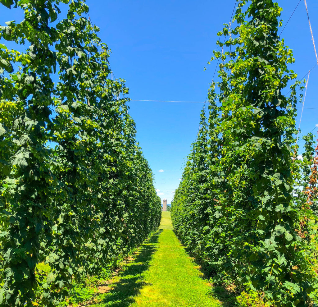 7 Summer Things to Do in Finger Lakes Wine Country with Kids – Girl ...