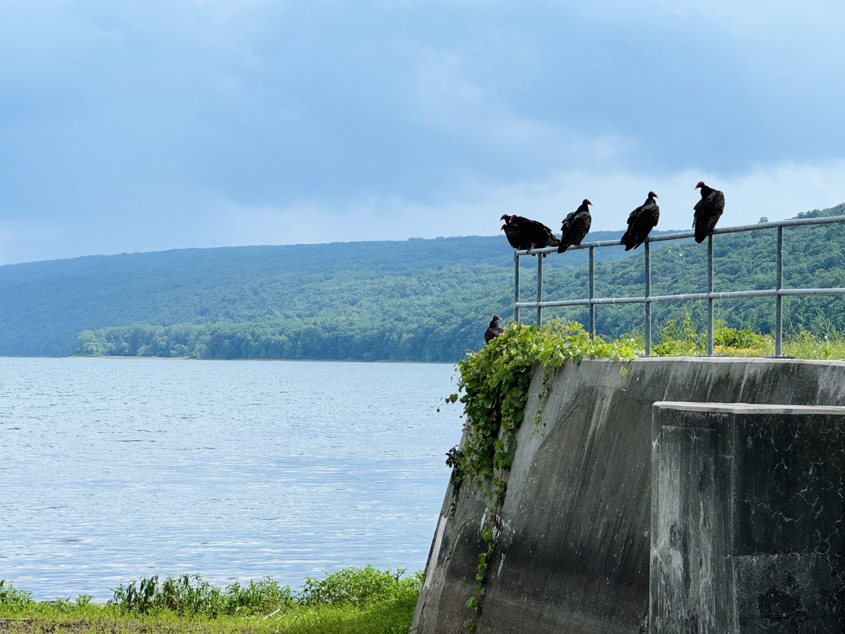 EXPLORING THE FINGER LAKES: CONESUS, HEMLOCK, & CANADICE LAKEs – Girl ...